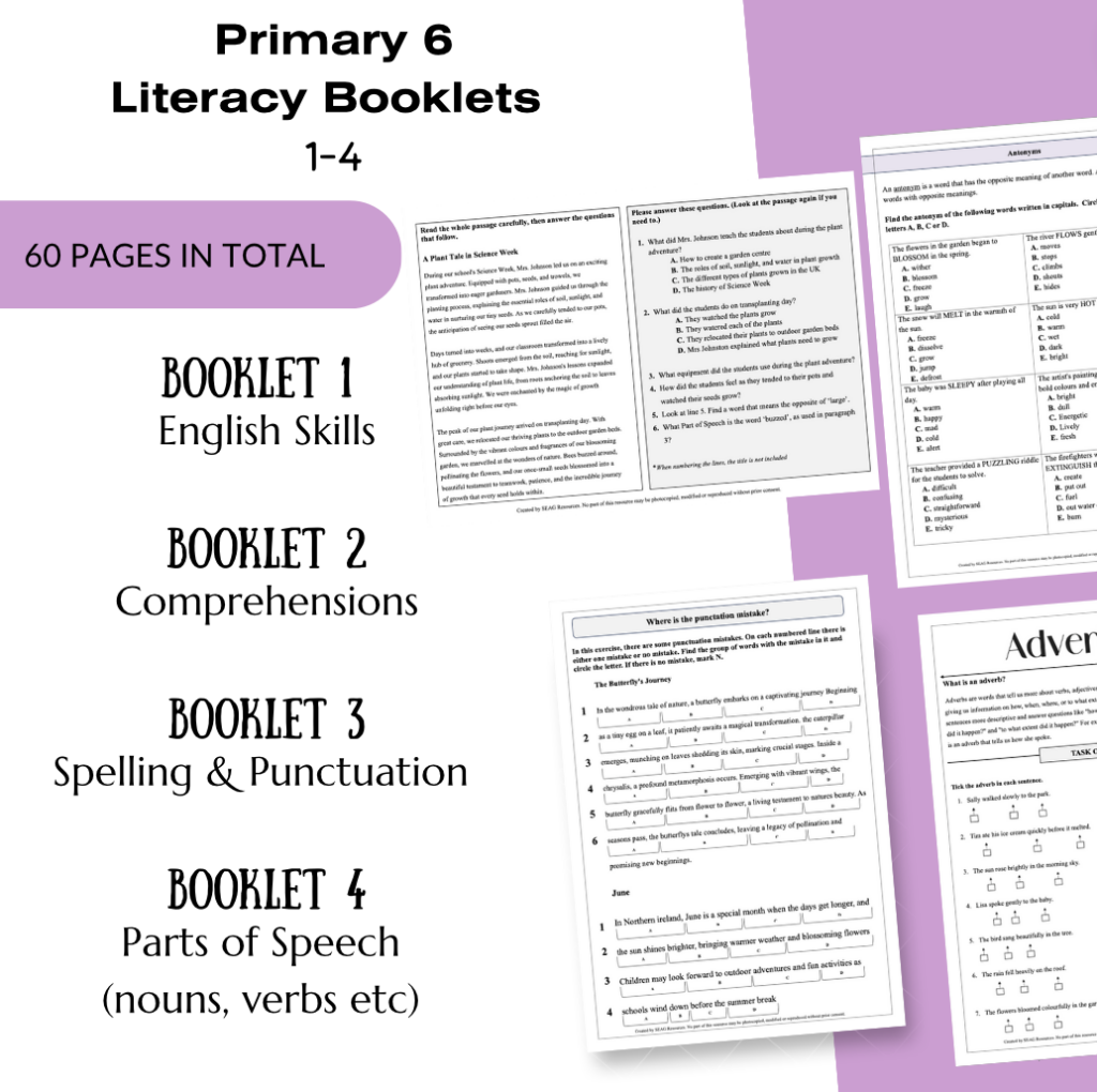 Primary 6 (Literacy Booklets) BUNDLE | SEAG Resources